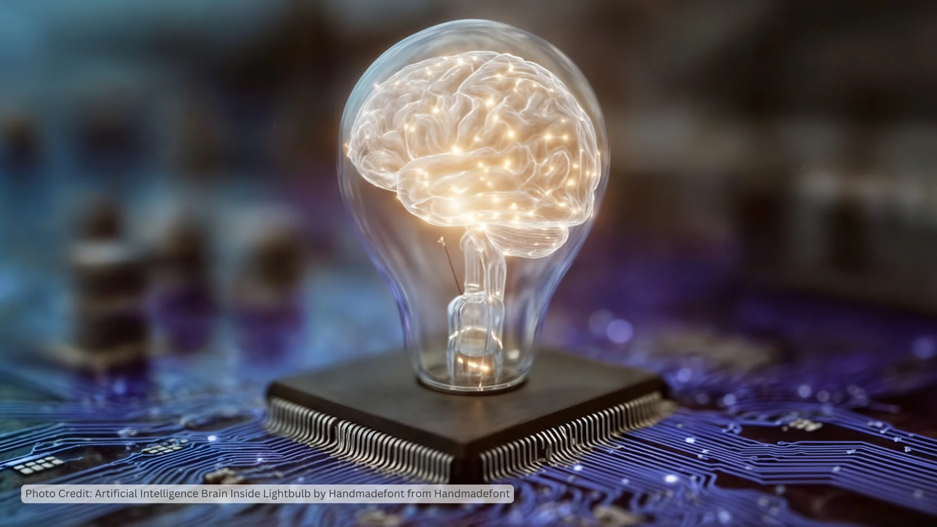 Monash expert on image misuse and whether Australia should act